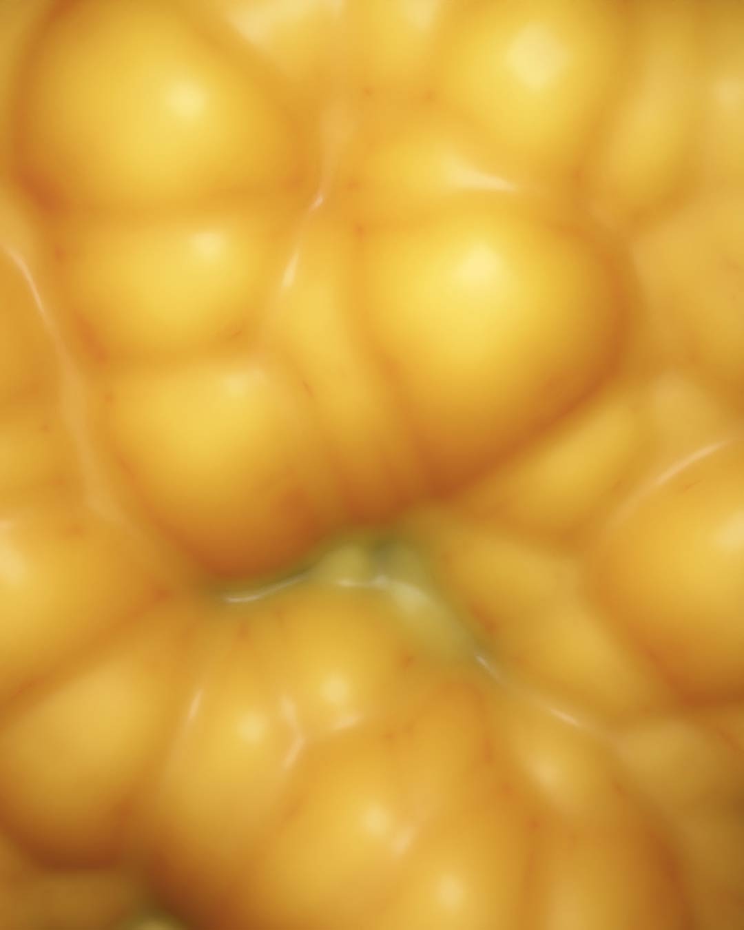 TFMSTYLE - Houdini Project Files